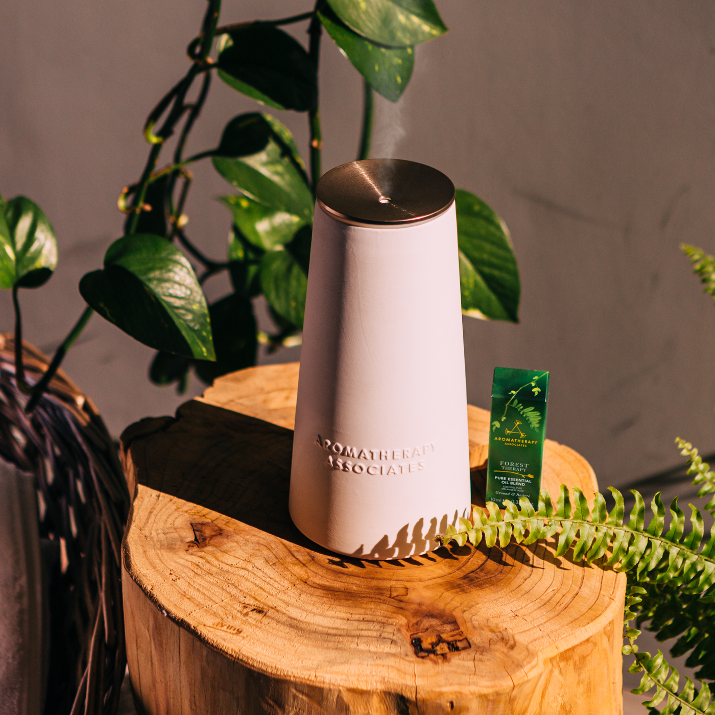 Forest Therapy | Forest Bathing Essential Oils | Aromatherapy Associates