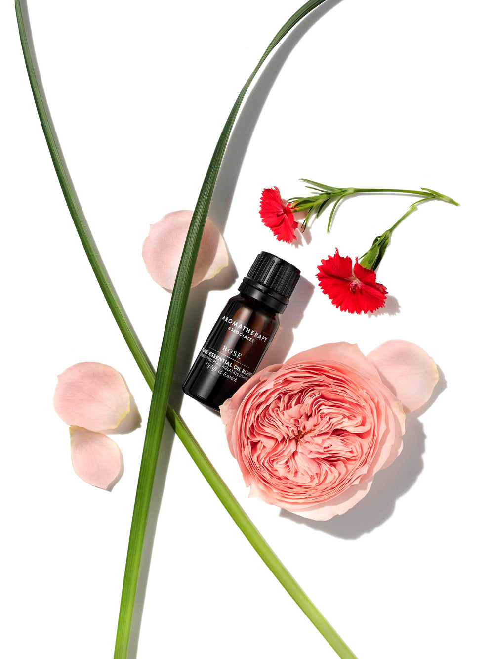 Rose Home Fragrance Duo | Aromatherapy Associates