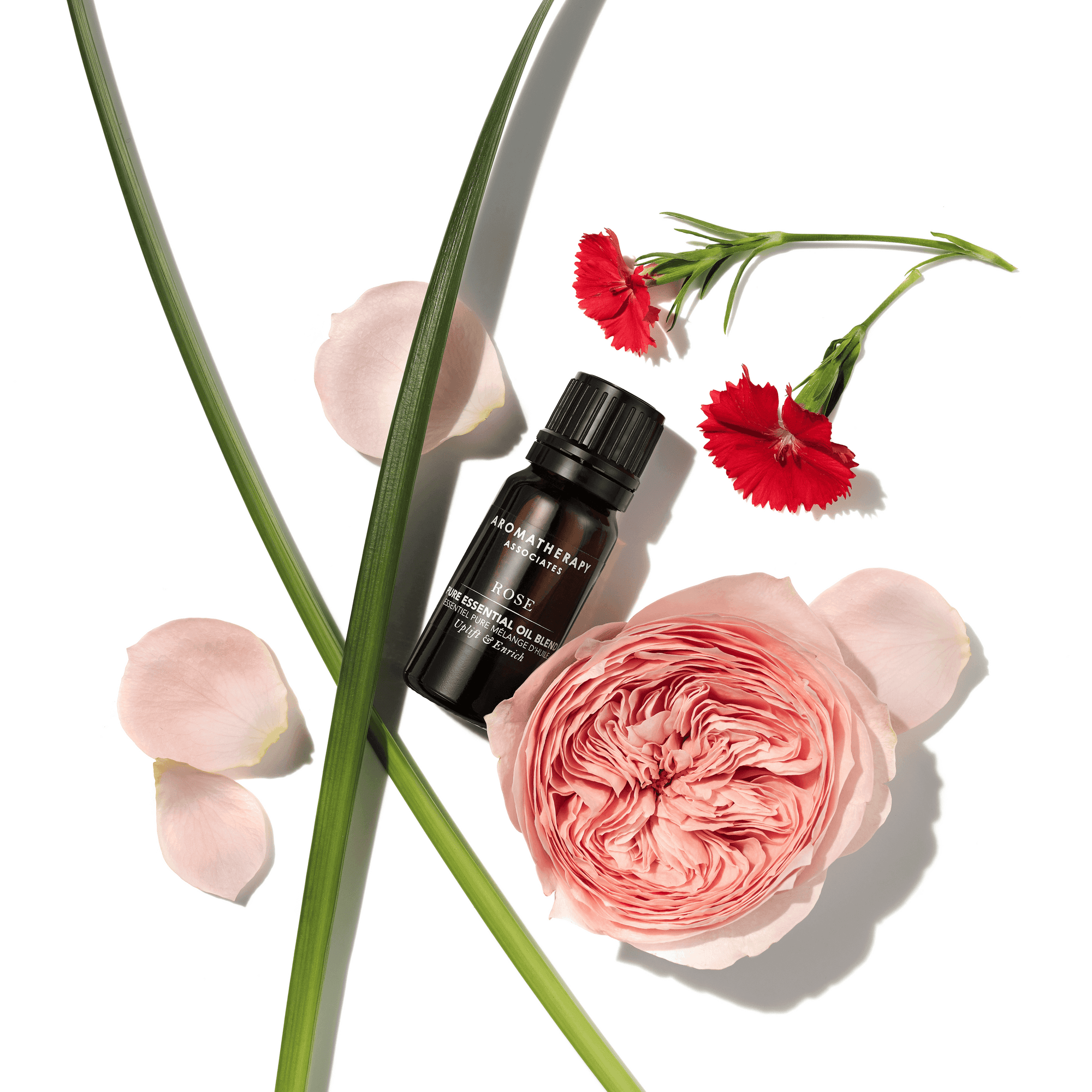 Home Fragrance Sets for a Refreshing Ambience | Aromatherapy Associates